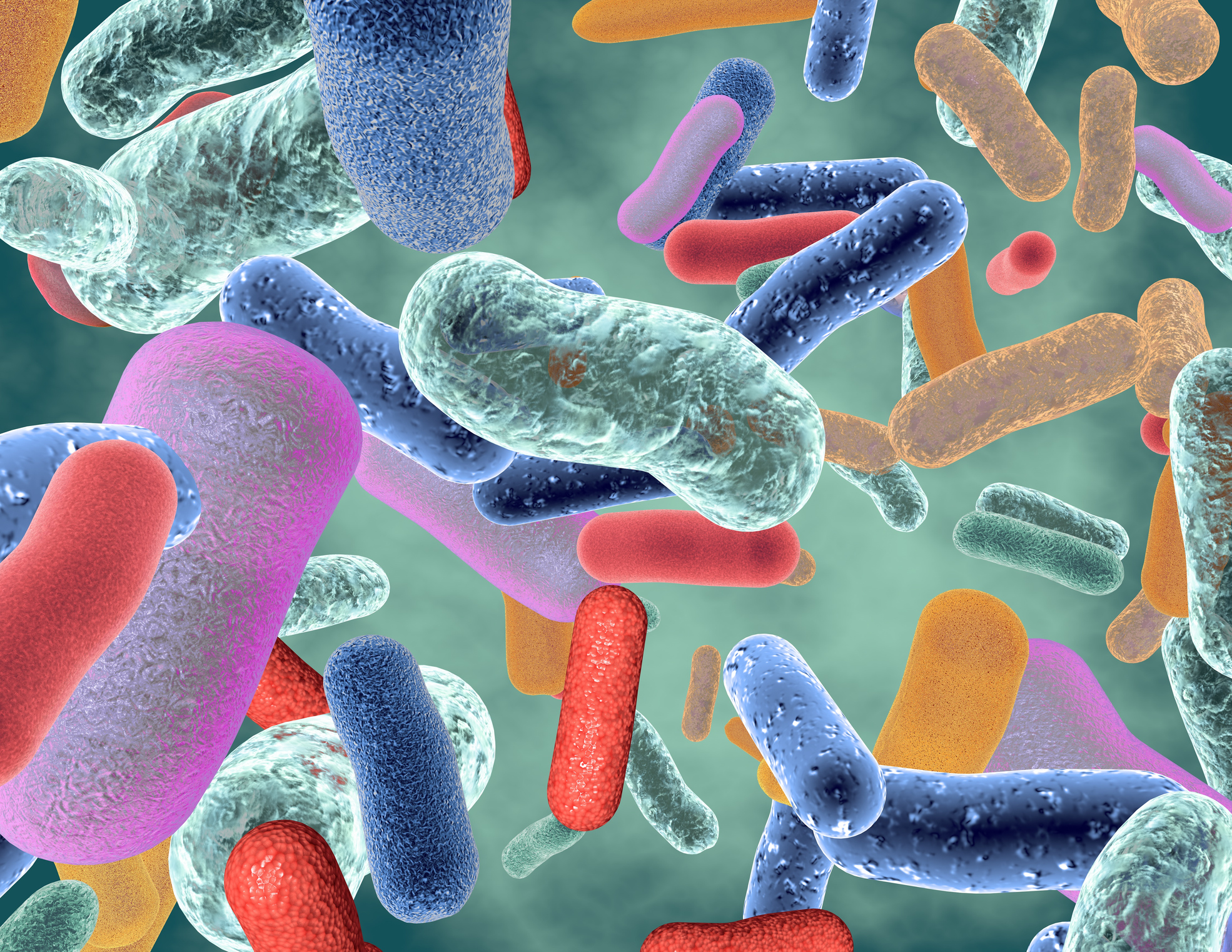 GI and Hepatology News - Emulsifiers found to lower gut metabolites not ...